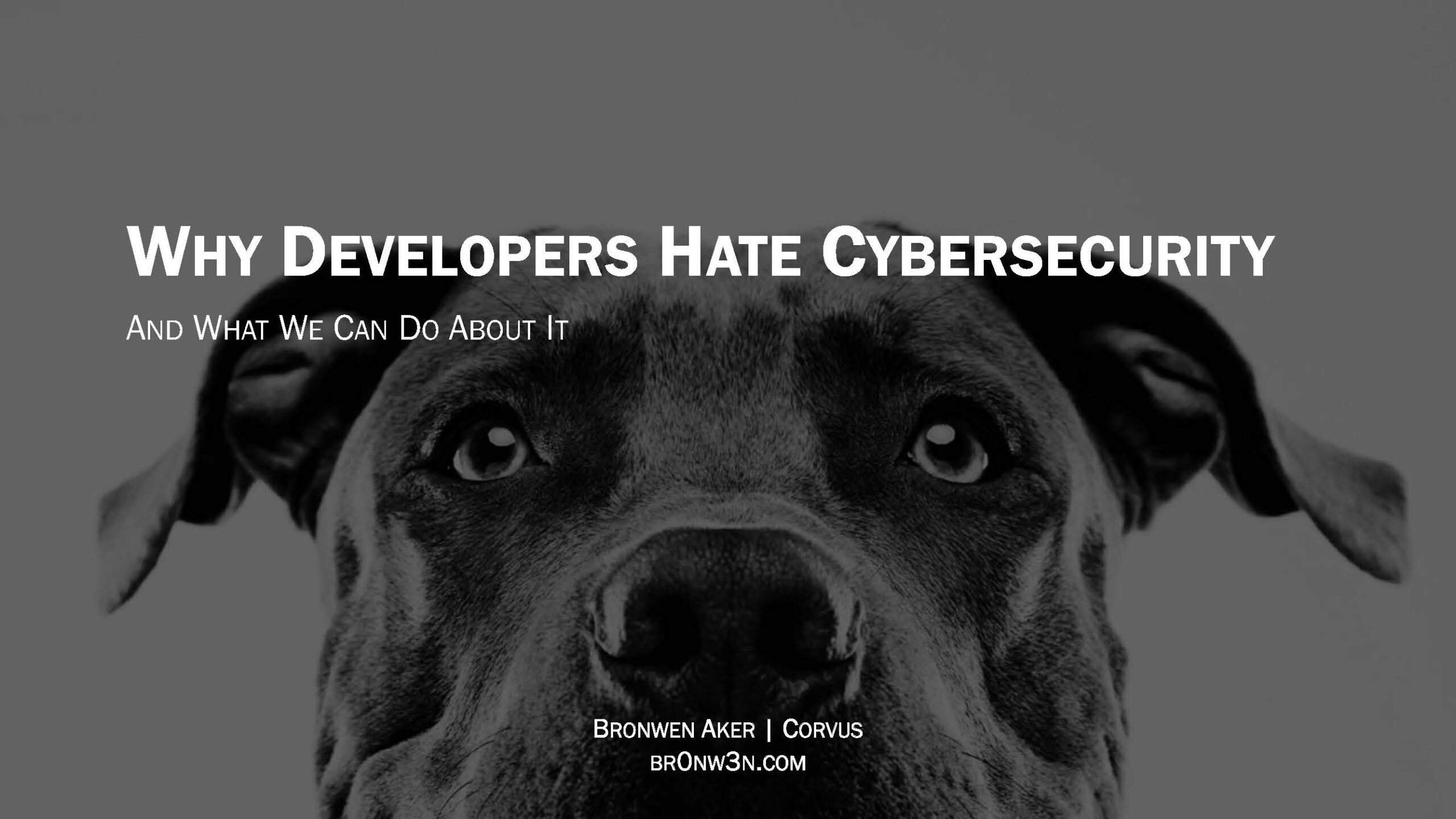 Why Developers Hate Cybersecurity - Br0nw3n's World